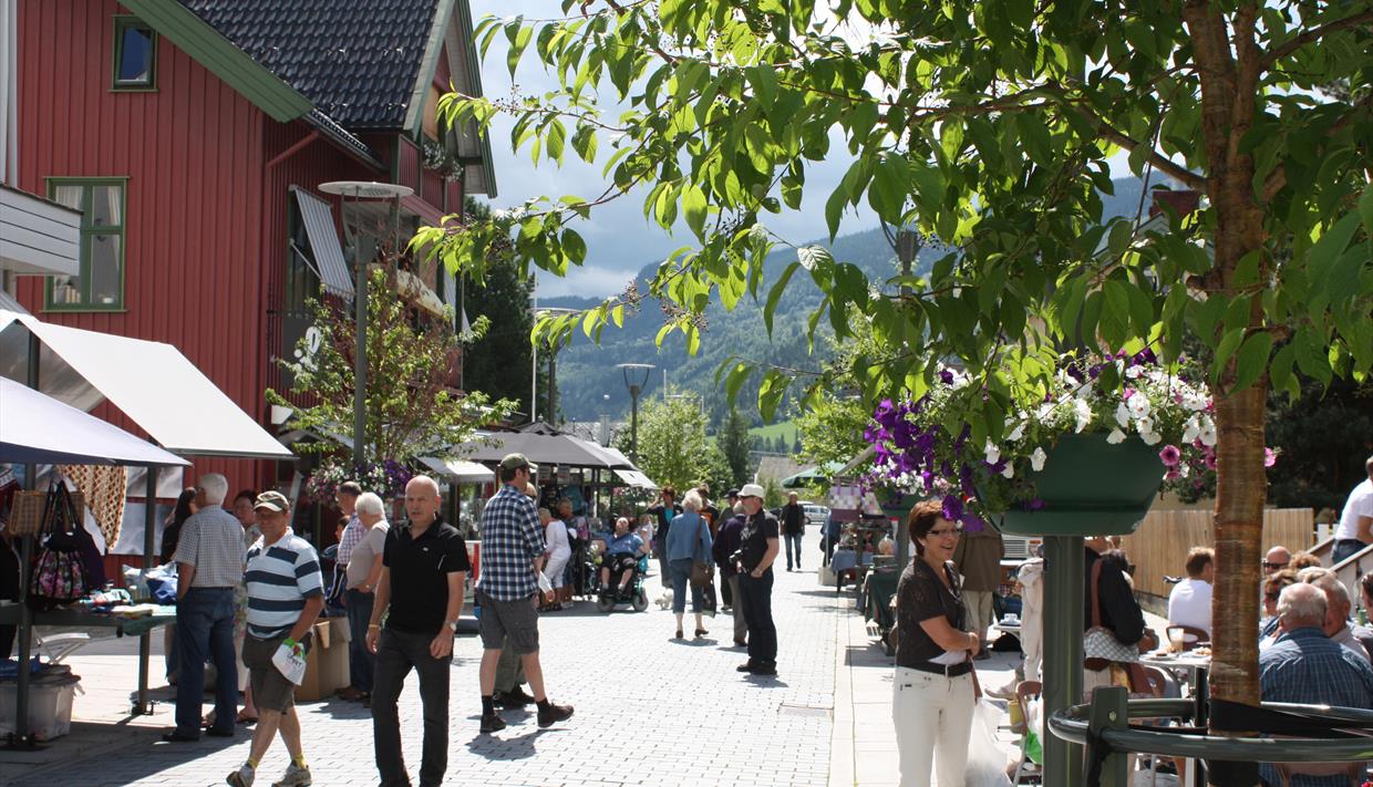 Ringebu village - Town/city in Ringebu, Ringebu - Into Norway