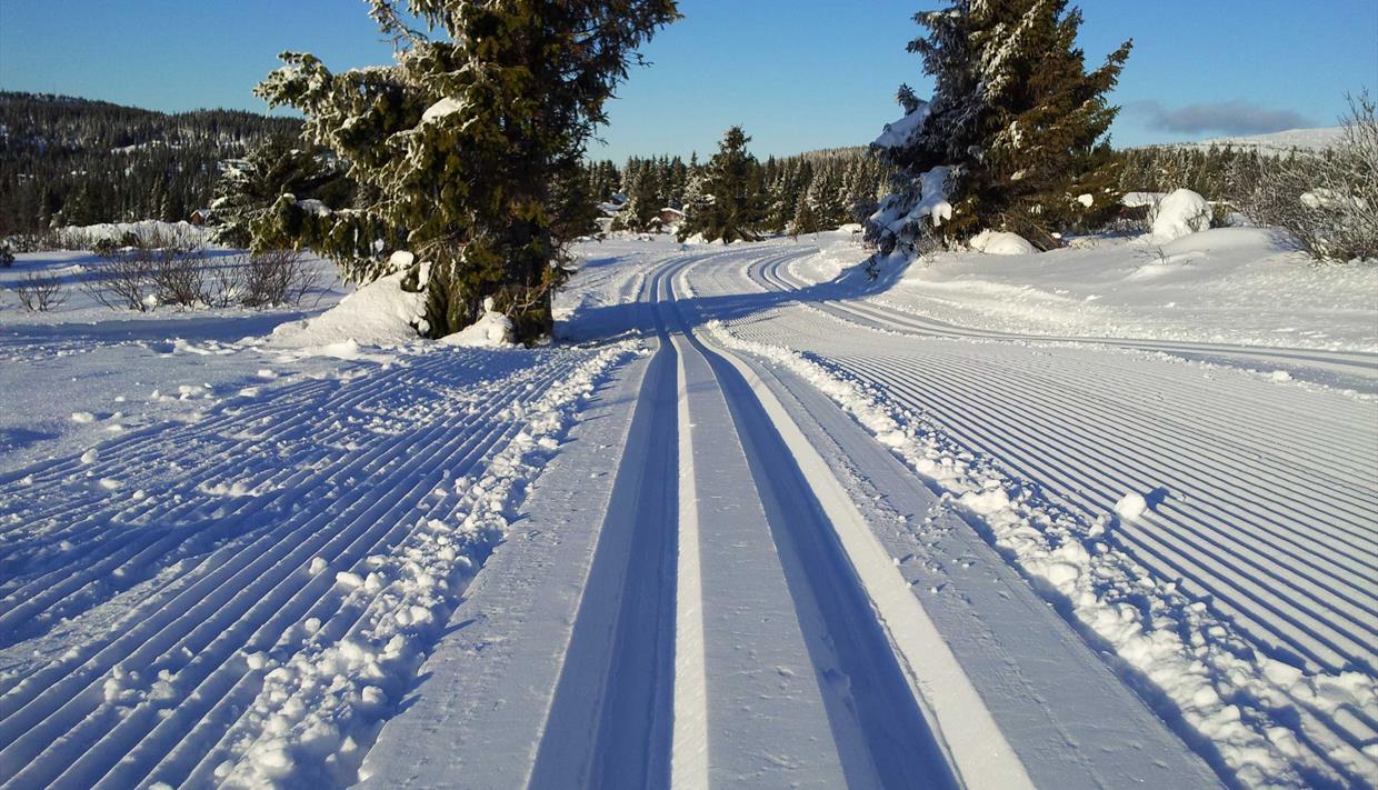 Wood Trail - Nordseter to Sjusjøen - 5,9 km - Cross-country skiing in ...